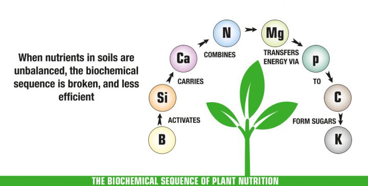 Biochemical Sequencing 101 - Aptus Holland